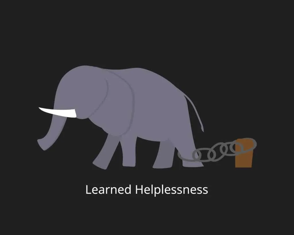 Learned Helplessness: 5 Ways to Break Free from the Chains